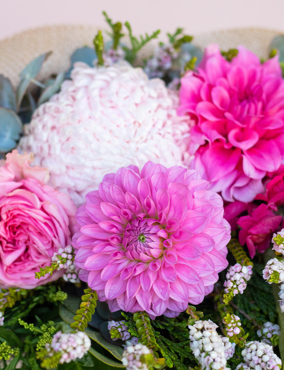 Medium Colour Bouquet | Daily Blooms - Same Day Flower Delivery