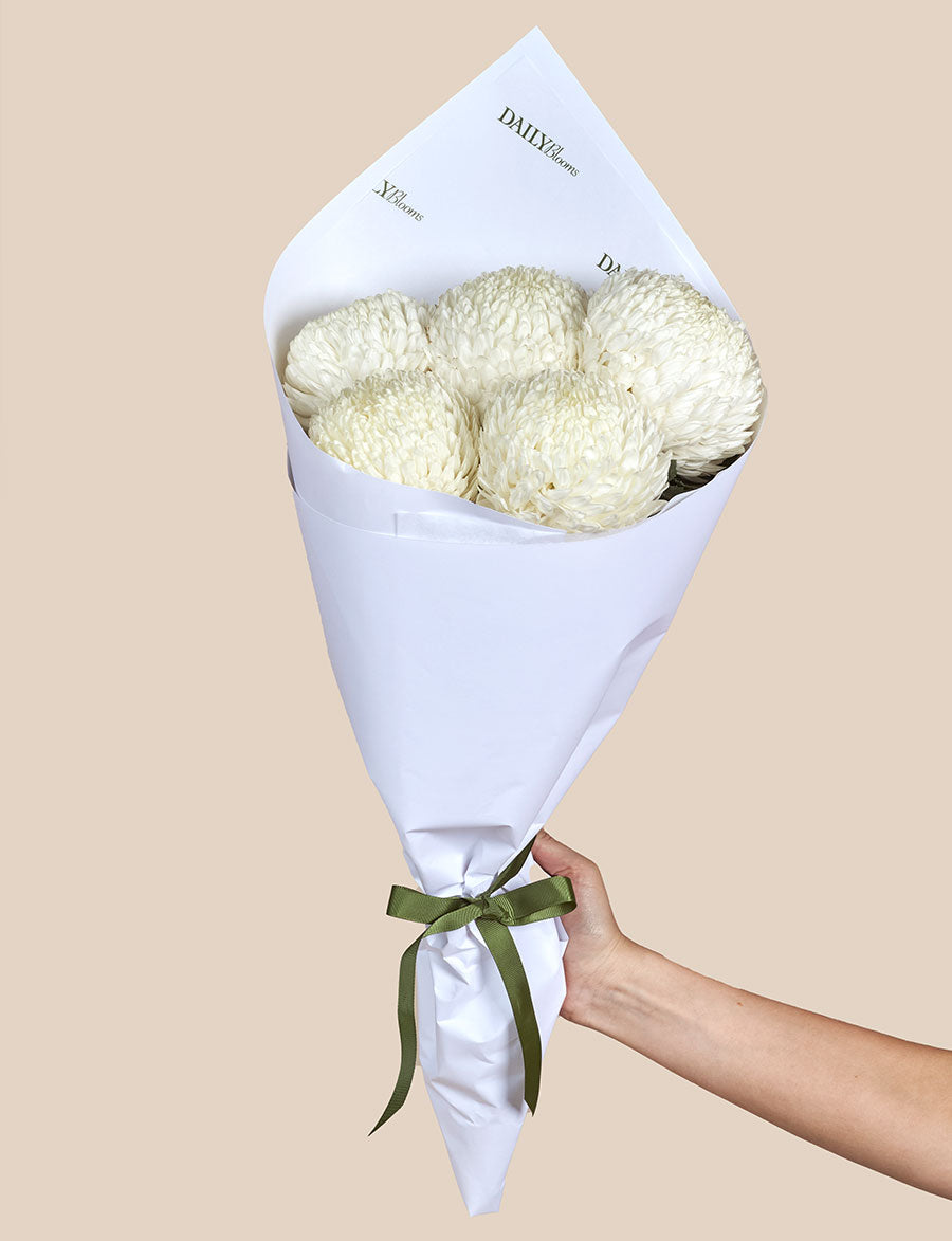Chrysanthemum Disbuds | Daily Blooms - Same Day Flower Delivery